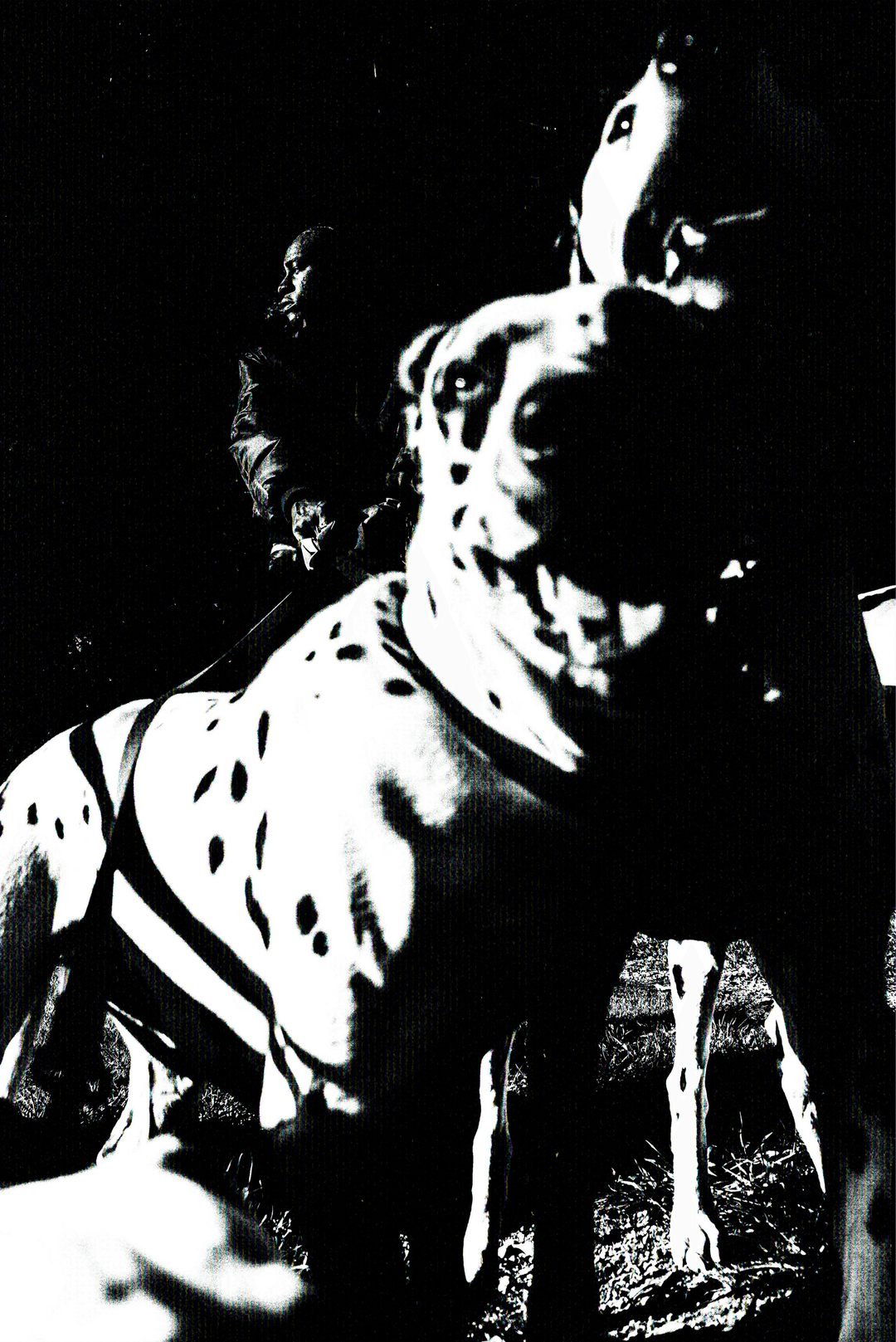 Justin Abernethy, Y2K inspired director and photographer