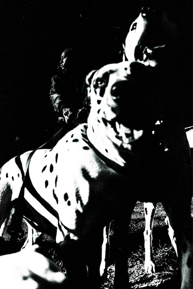 Justin Abernethy, Y2K inspired director and photographer