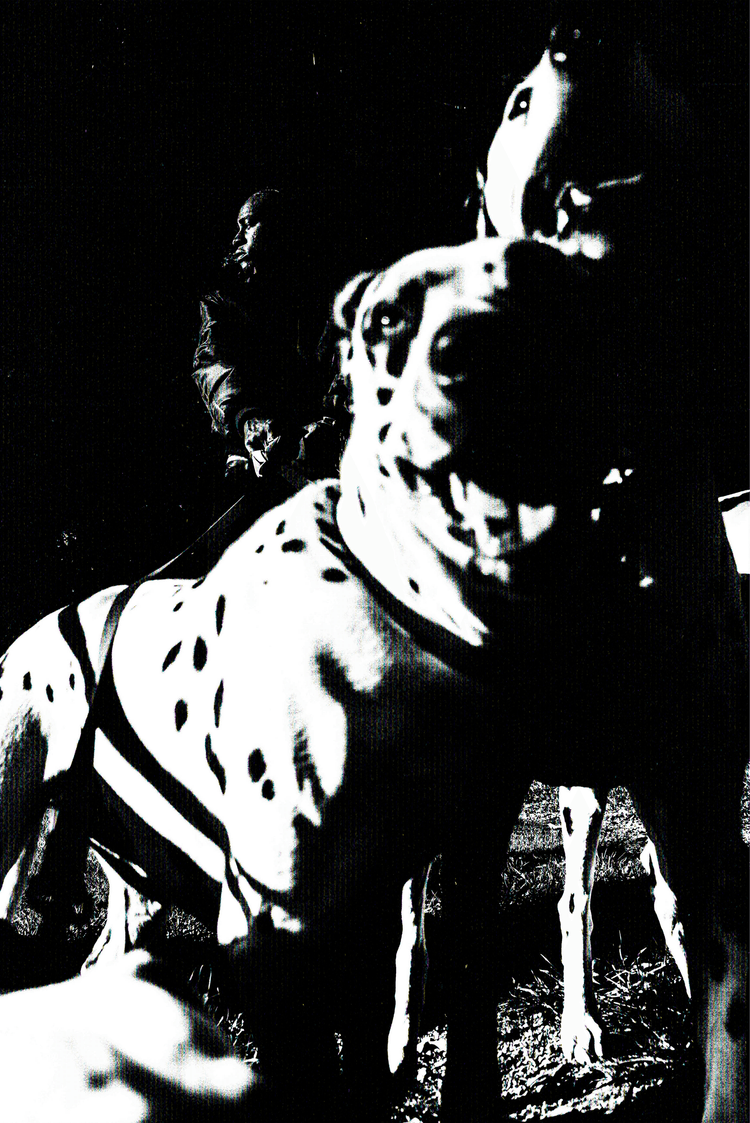 Justin Abernethy, Y2K inspired director and photographer