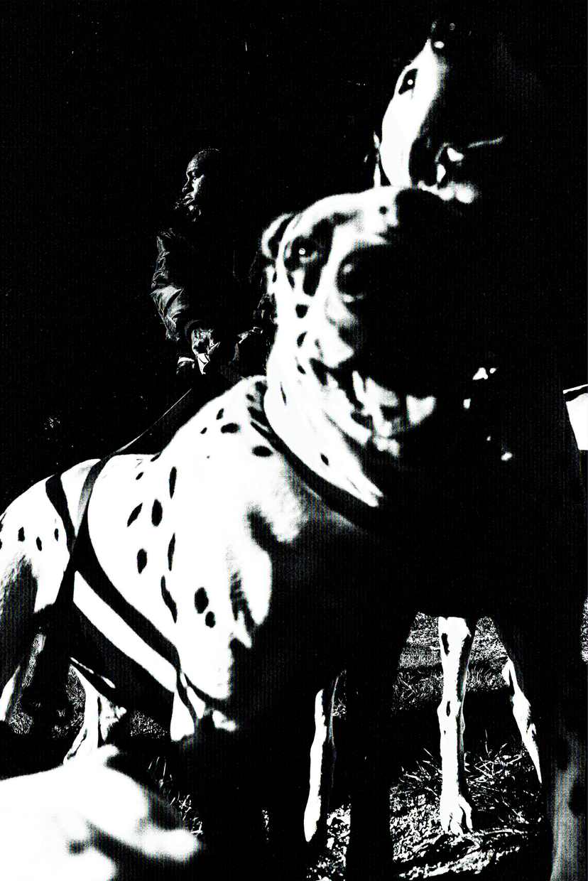 Justin Abernethy, Y2K inspired director and photographer